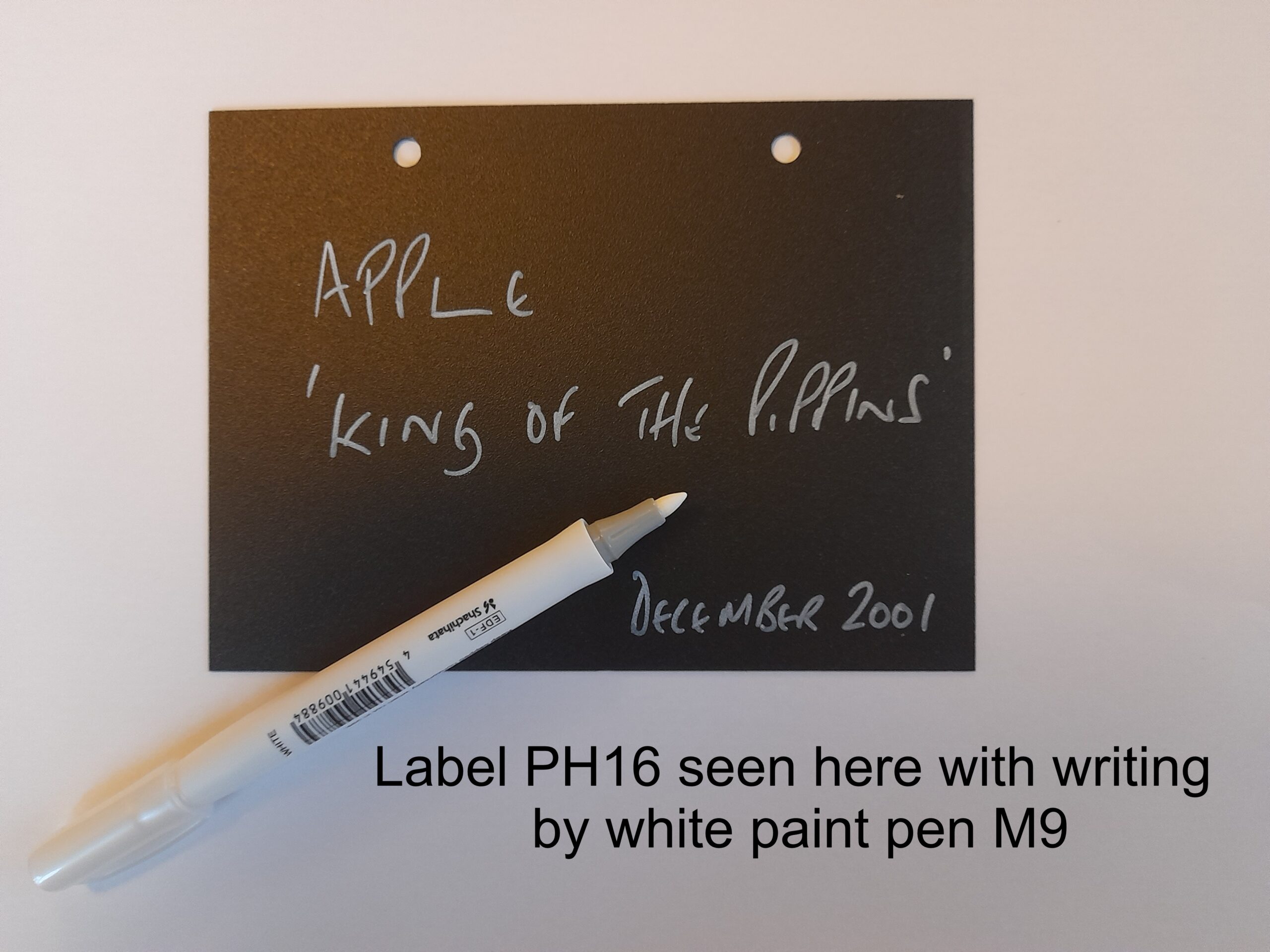 Artline Fine White Pigment Label Pen • Wells and Winter